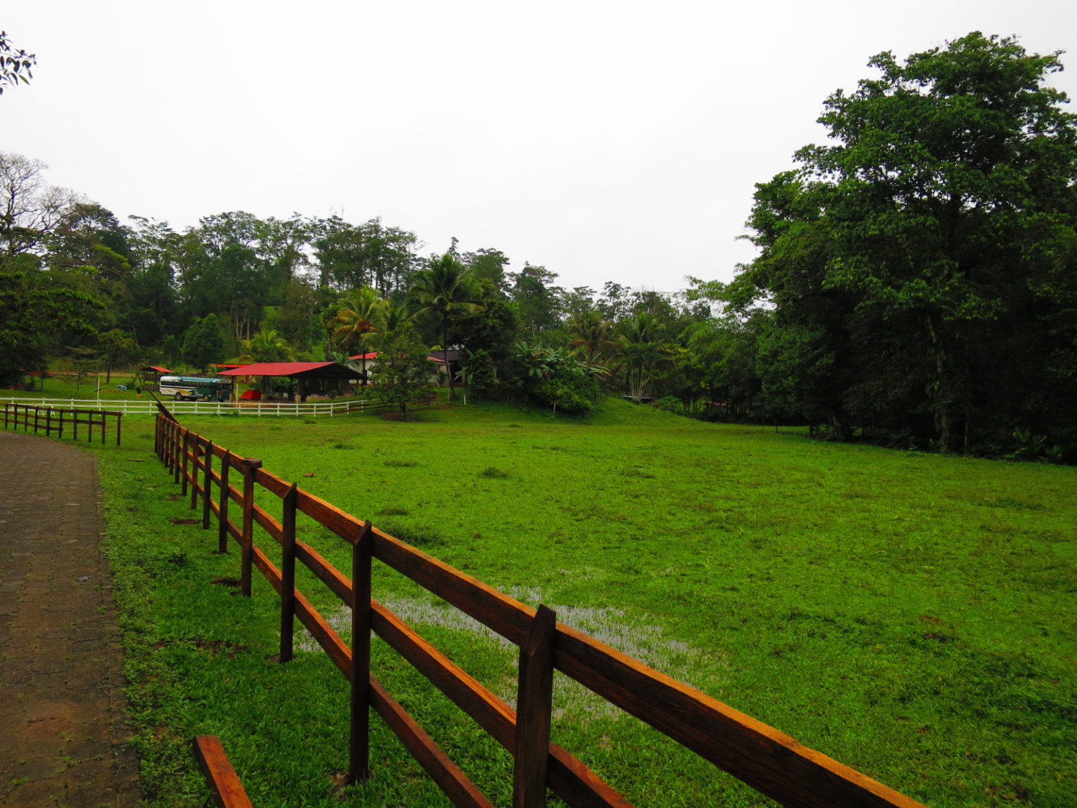 Que tranquilidad en el parque Hun Nal Ye – Javier Aroche / Log