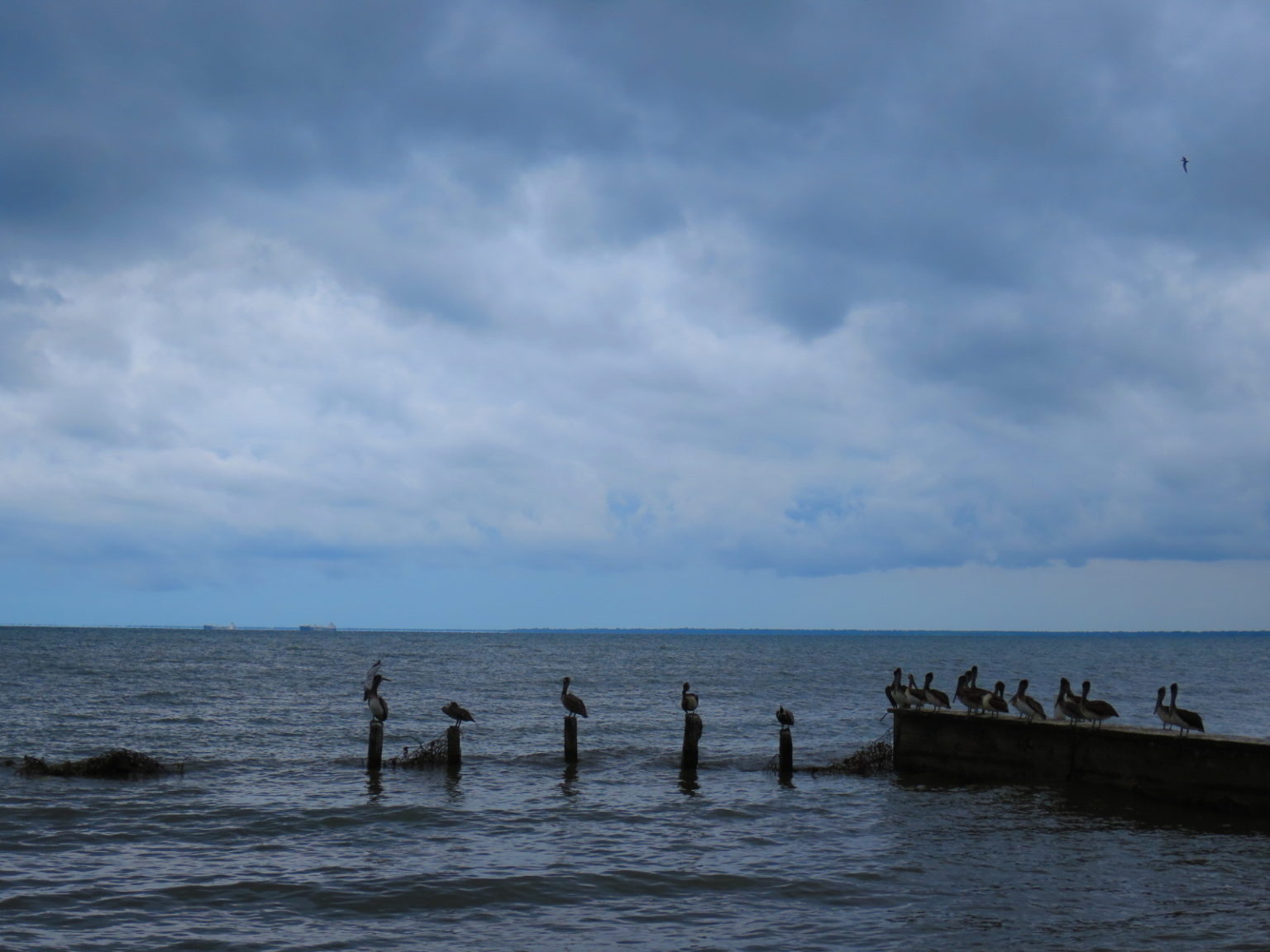 Punta de Palma, Izabal